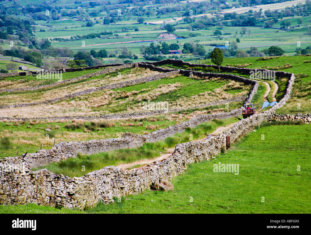 Swaledale Traditional Dry Stone Walls In The Yorkshire Dales, The North ...