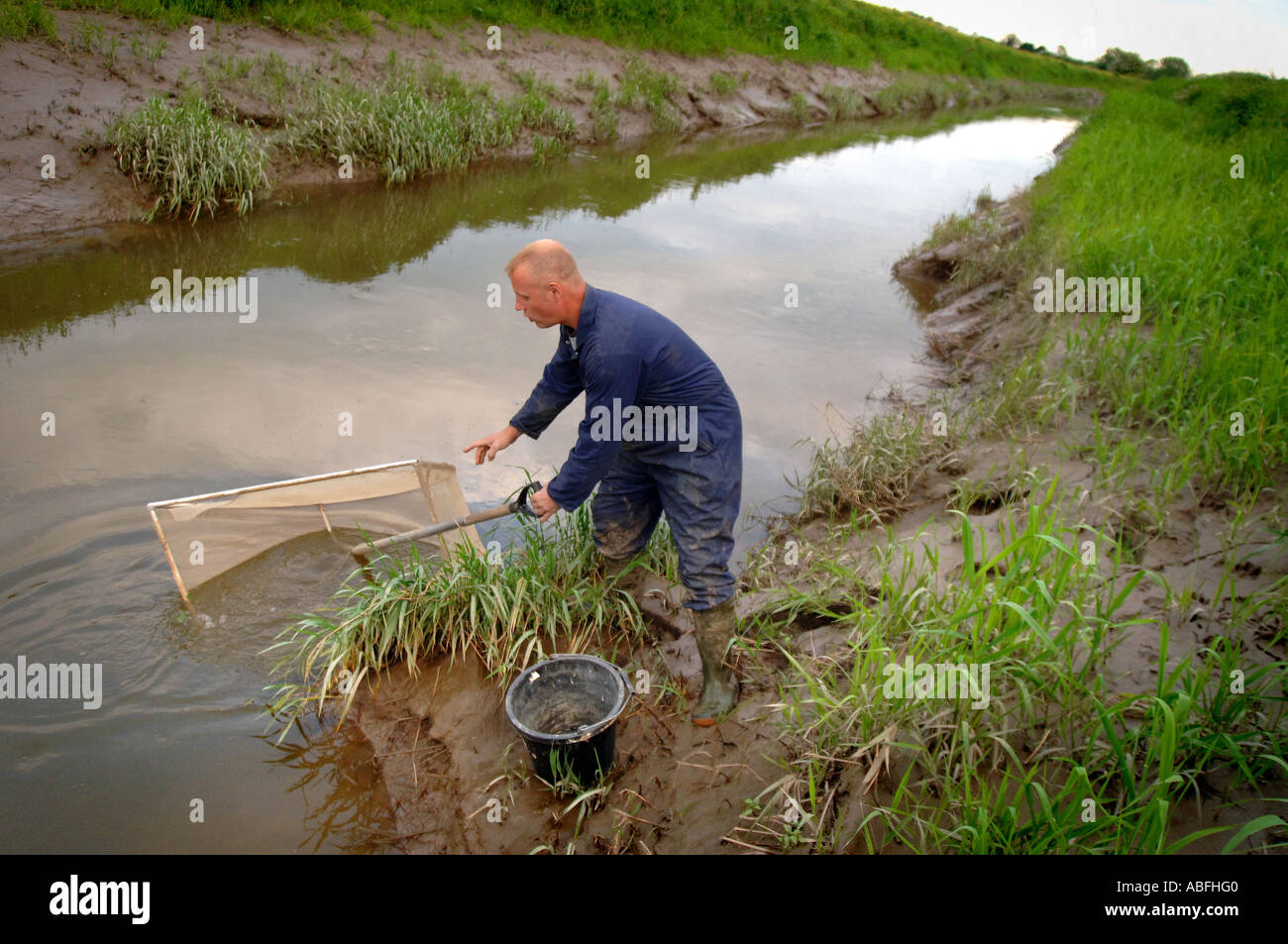 Phil Heyward fishing for Elvers on the River Parrett Burrow Bridge ...
