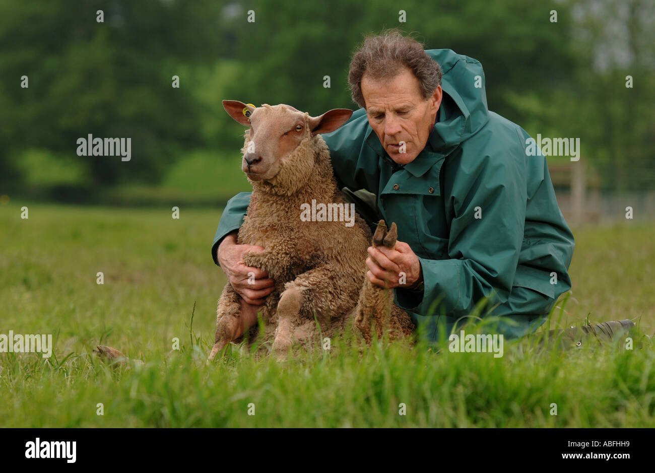 Check in animals hi-res stock photography and images - Alamy