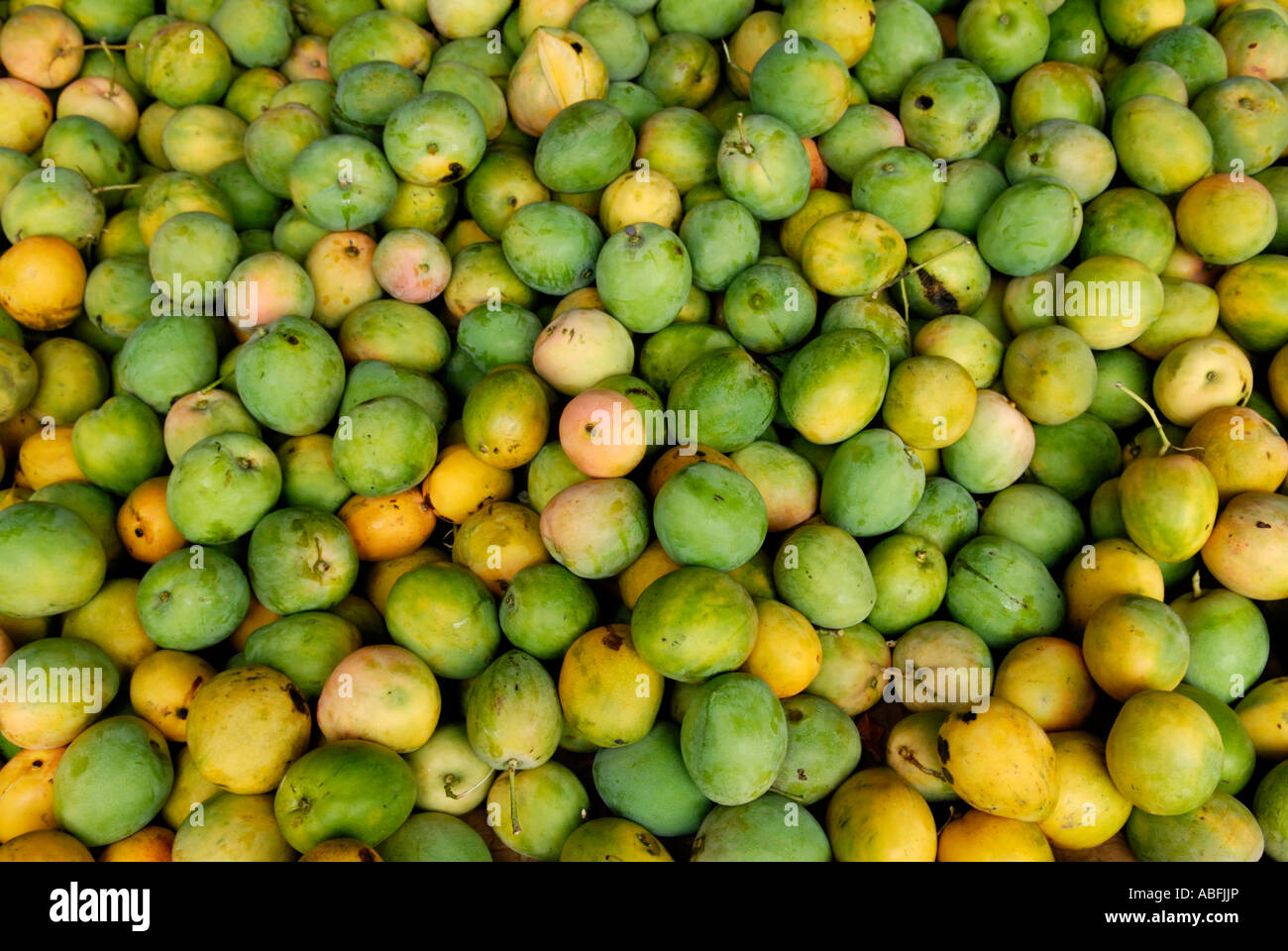 A roadside fruit stand offers mangoes Mangifera sp near Jaco Costa Rica ...