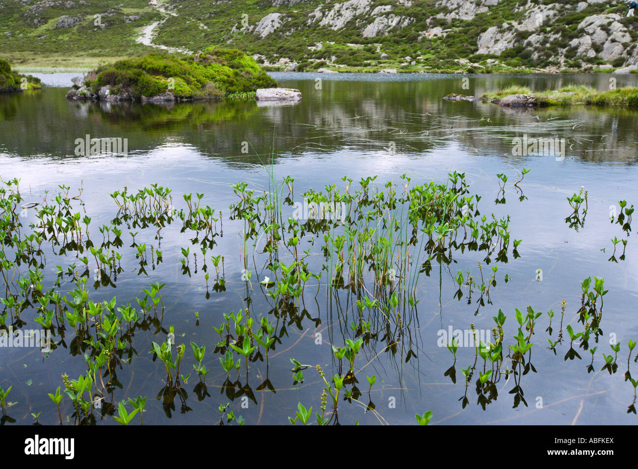 Dale Head Tarn, Dale Head Mountain The Lake District , Keswick Cumbria ...