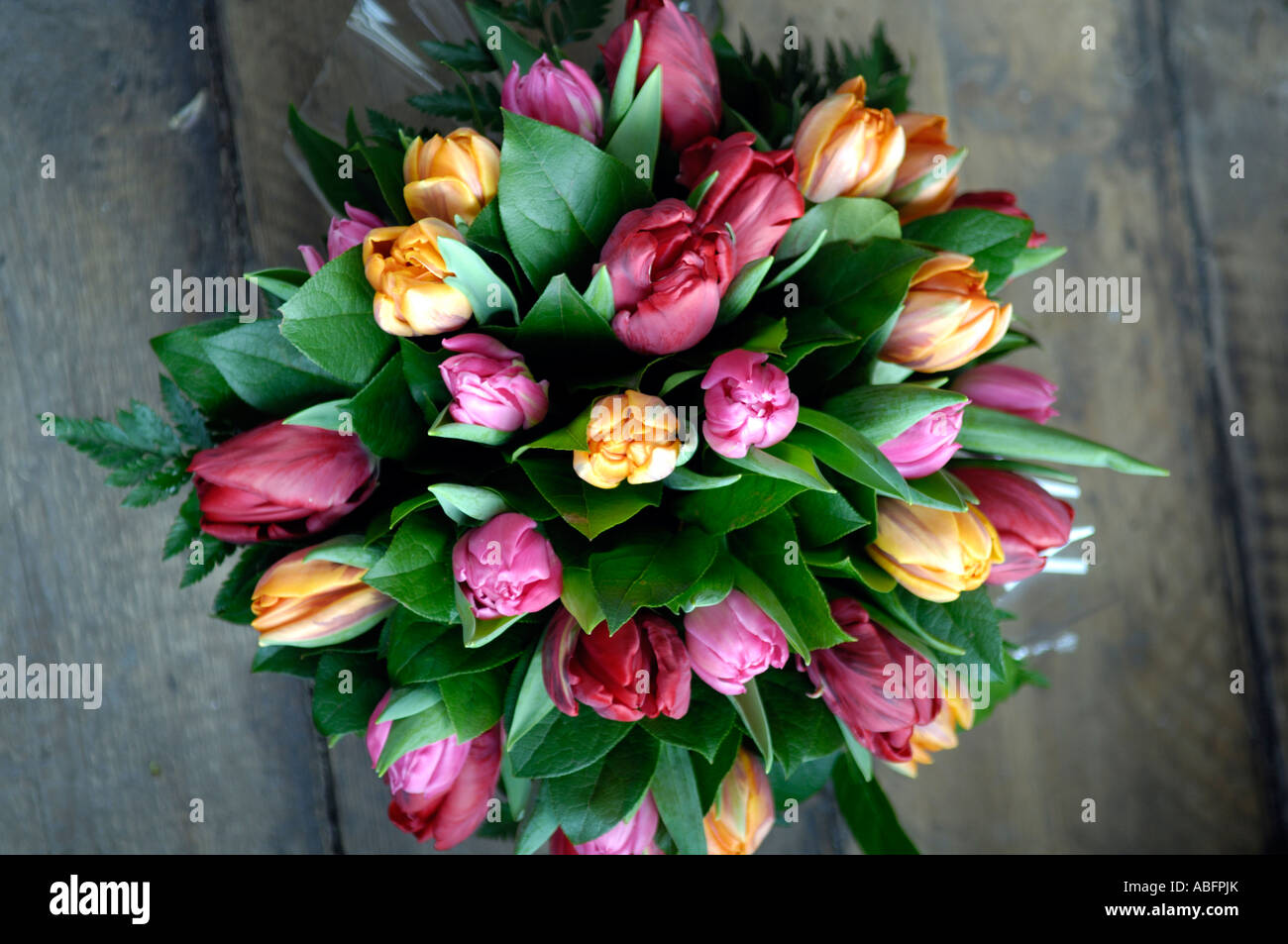 Bouquet of mixed tulips Stock Photo - Alamy