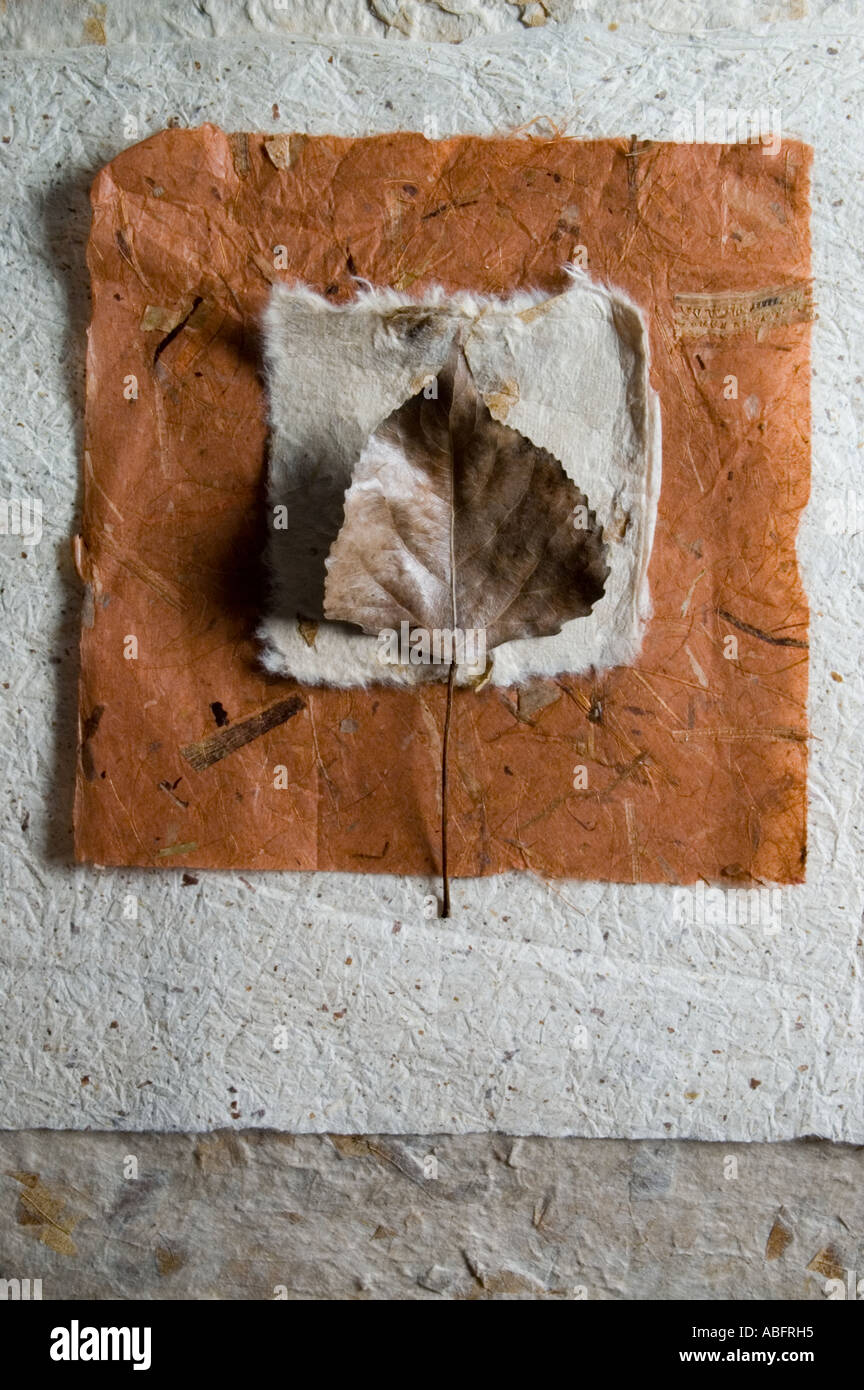 Japanese poplar hi-res stock photography and images - Alamy