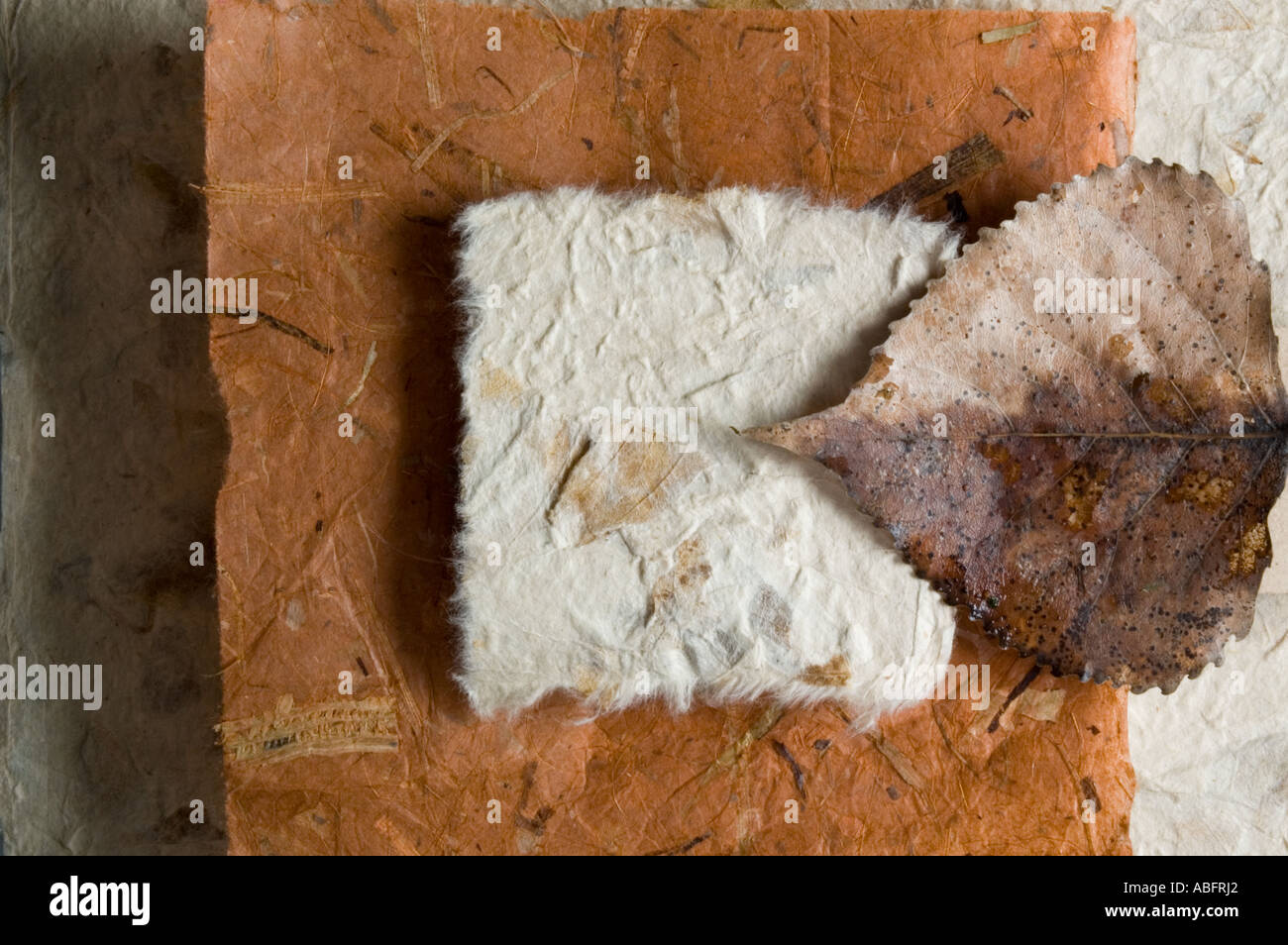 Japanese paper and leave Stock Photo - Alamy