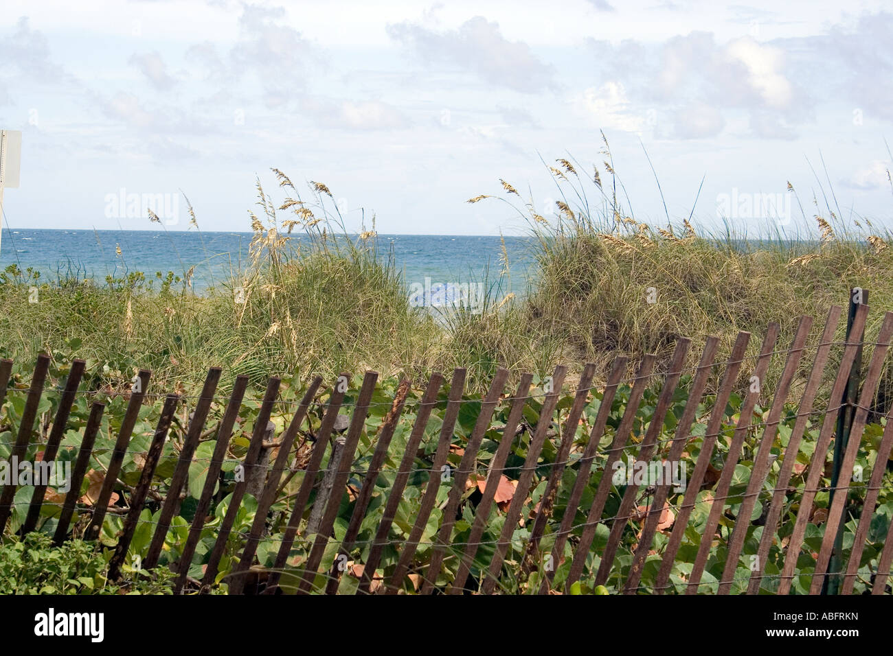 Looking onto the beach Stock Photo - Alamy