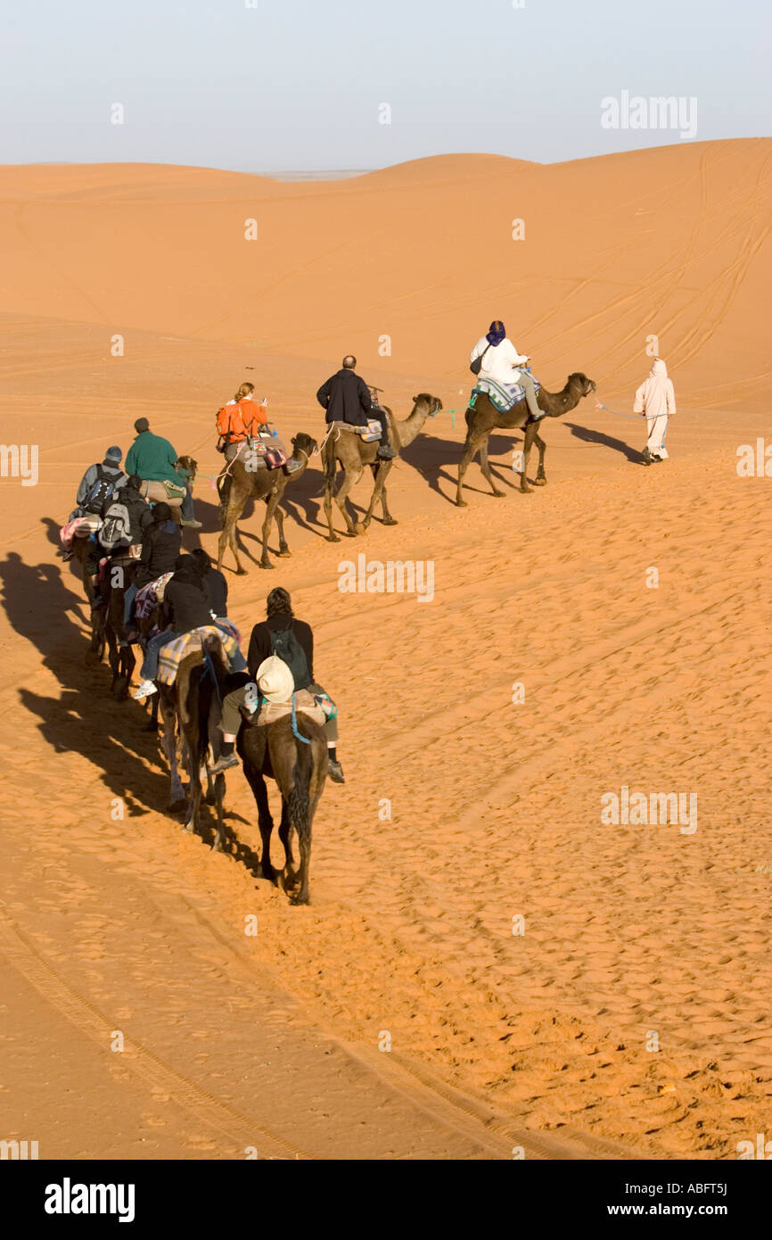 Camel camels trek trekking train hi-res stock photography and images ...