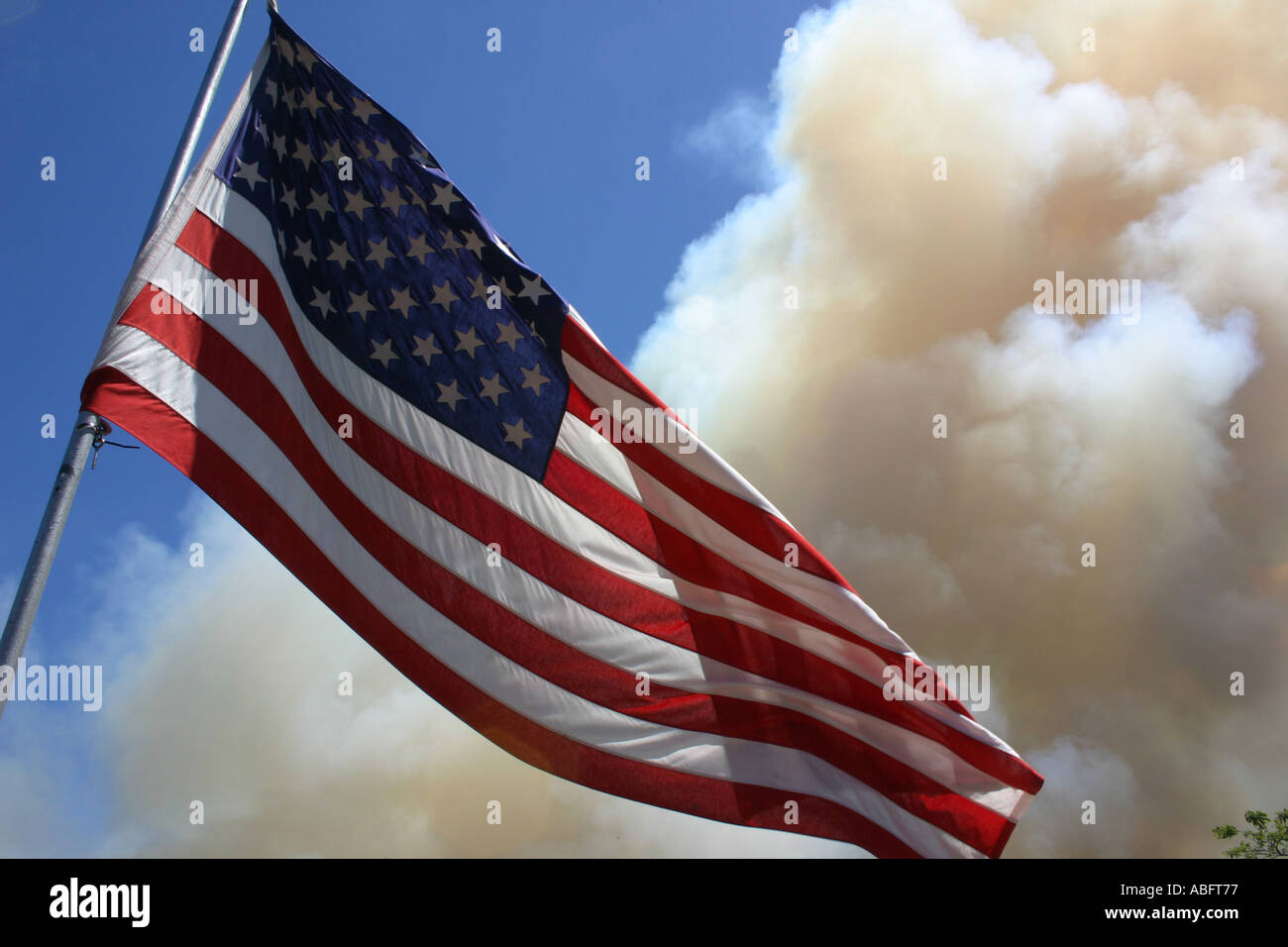 American singe hi-res stock photography and images - Alamy