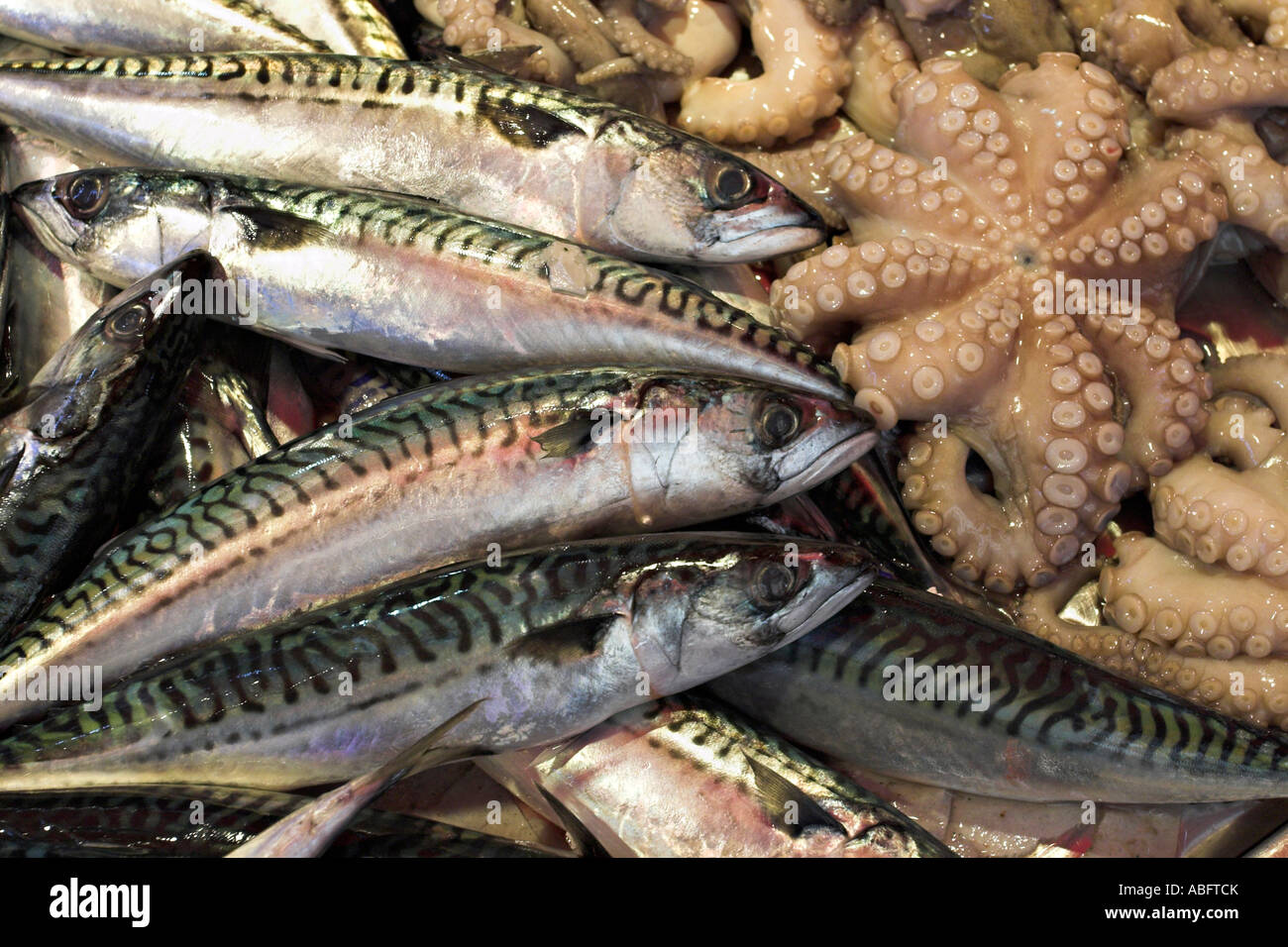 Ortygia fish market hi-res stock photography and images - Alamy
