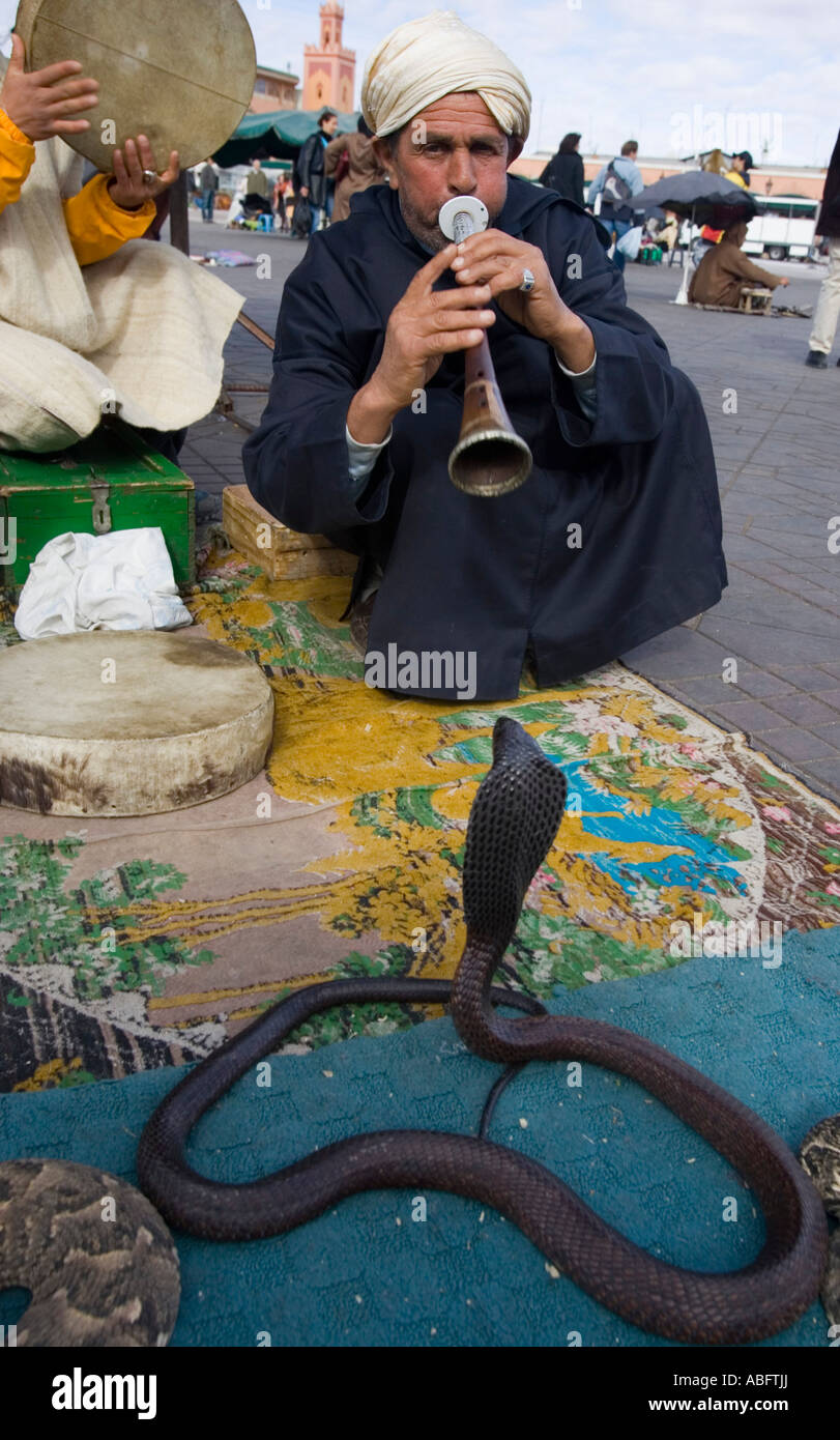 Snake charmer Place Djemaa El Fna Marrakech Morocco Stock Photo - Alamy