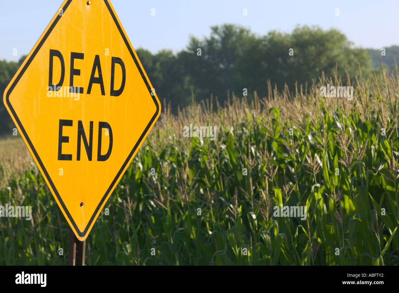 Dead end road hi-res stock photography and images - Alamy