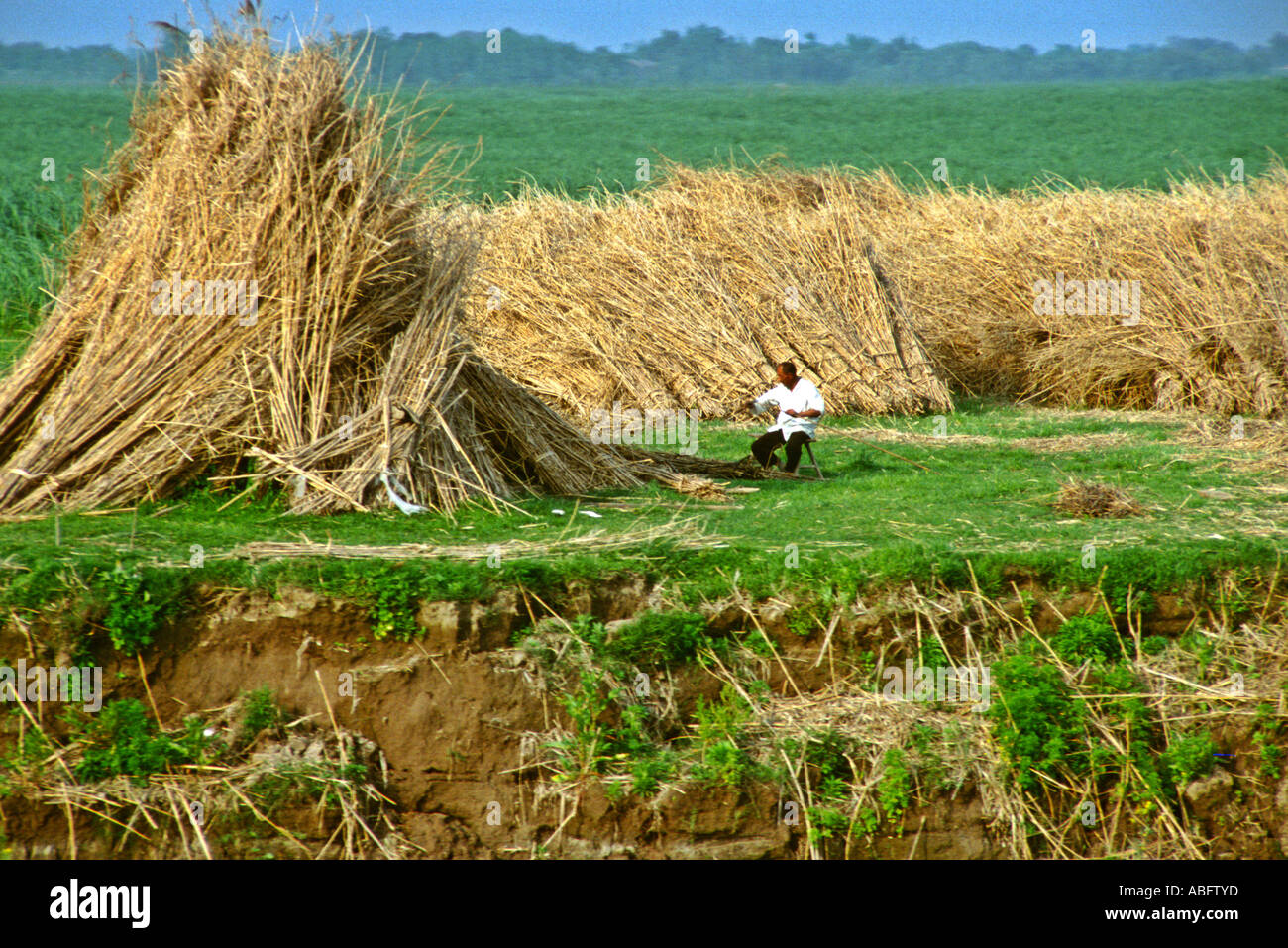 Yangtze river farming hi-res stock photography and images - Alamy