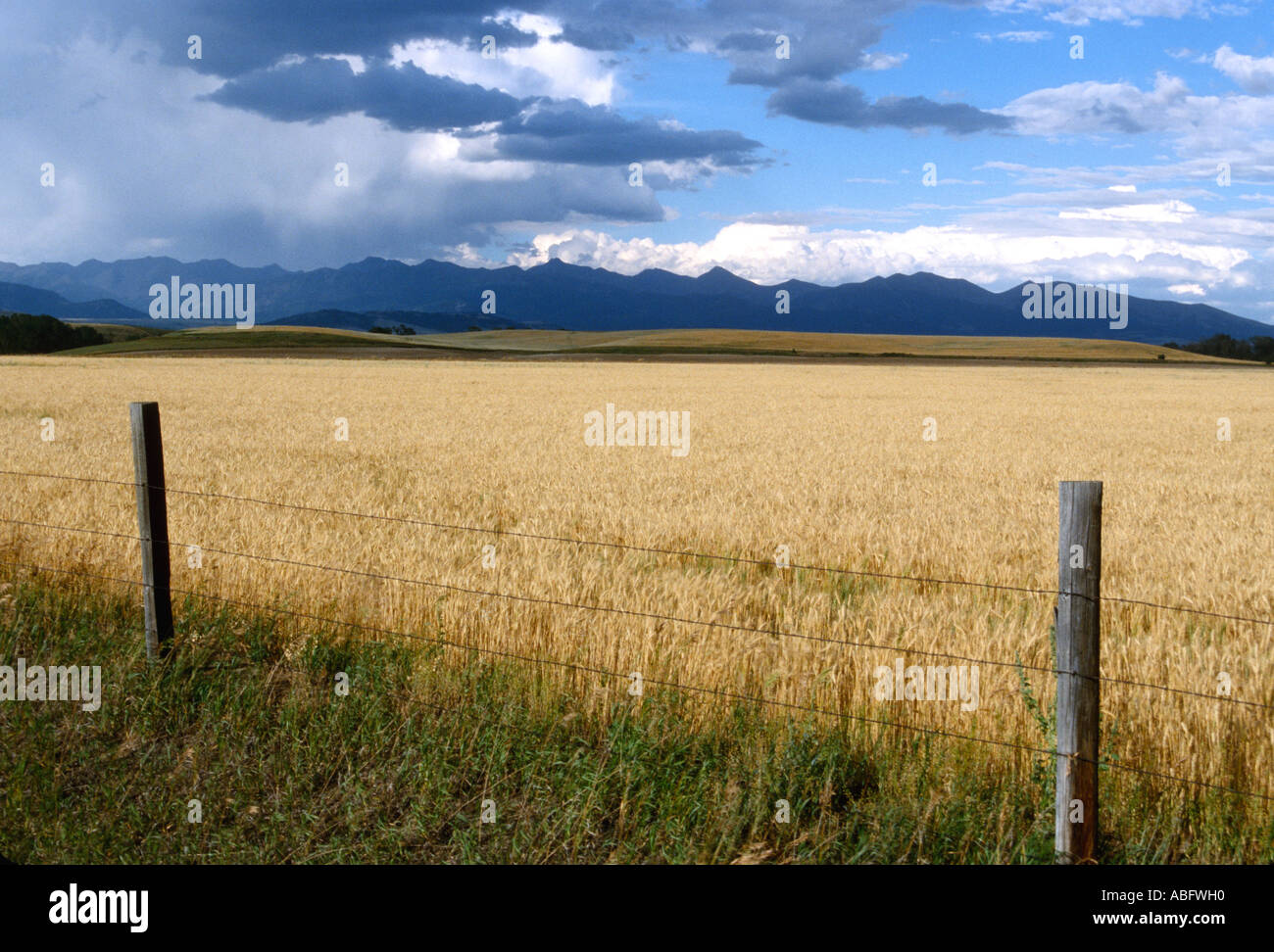 Agriculture in montana hi-res stock photography and images - Alamy