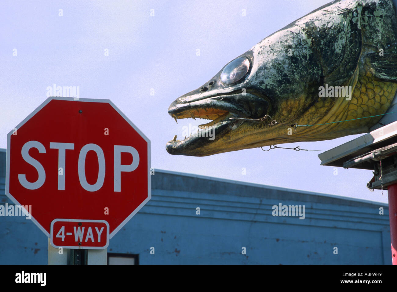 A fish replica eying a stop sign at the Beaver House Grand Marais ...