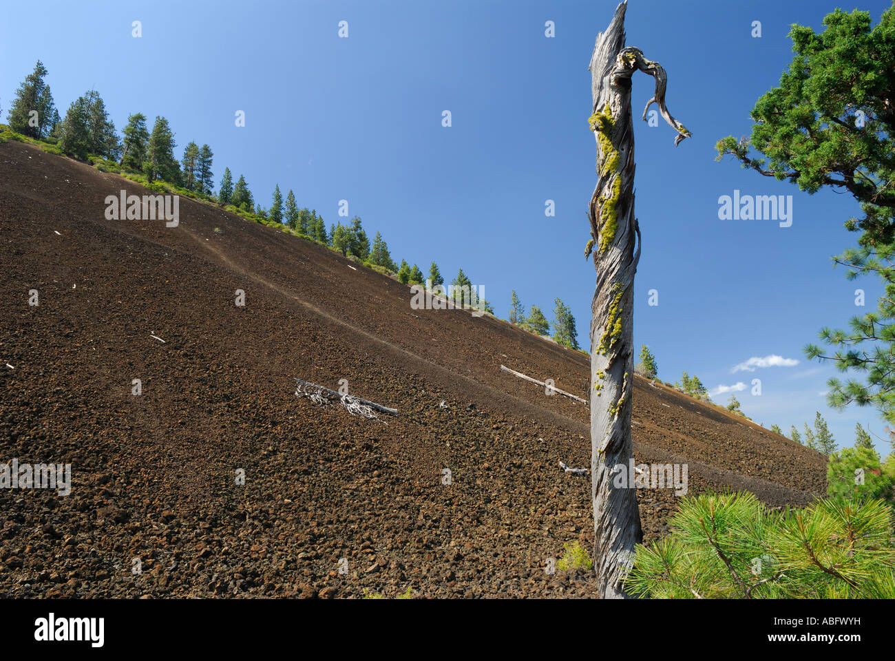 Slope of lava rocks on Lava Butte cinder cone Stock Photo - Alamy