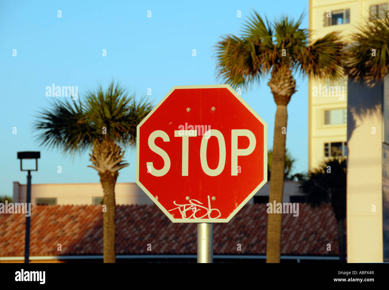 Stop sign and palm trees Stock Photo - Alamy