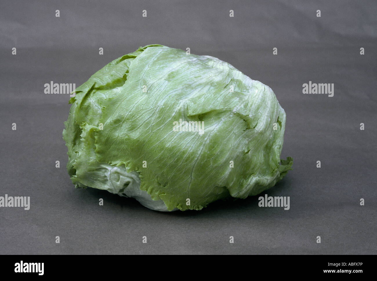 Jade lettuce hi-res stock photography and images - Alamy