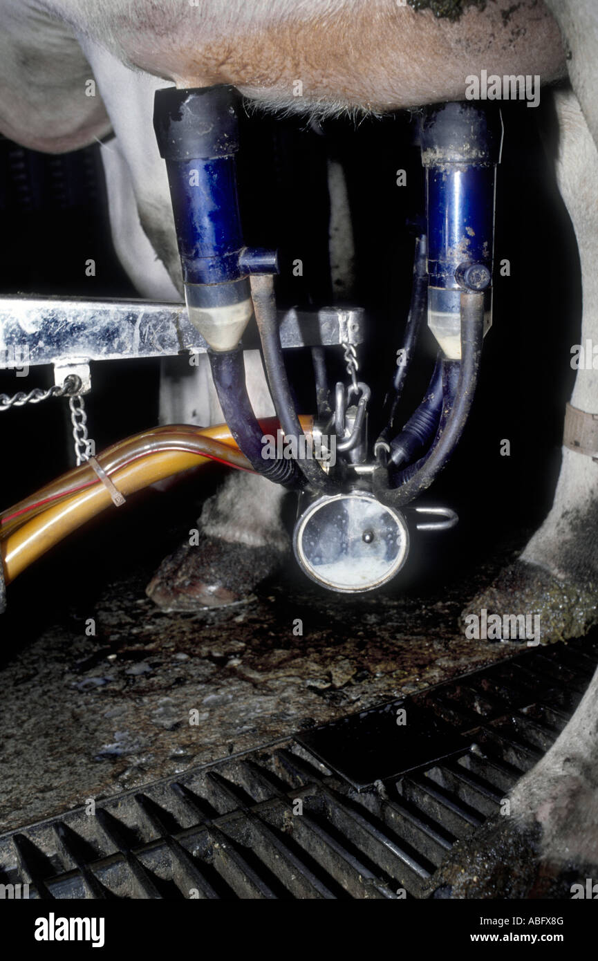 Its milked hi-res stock photography and images - Alamy