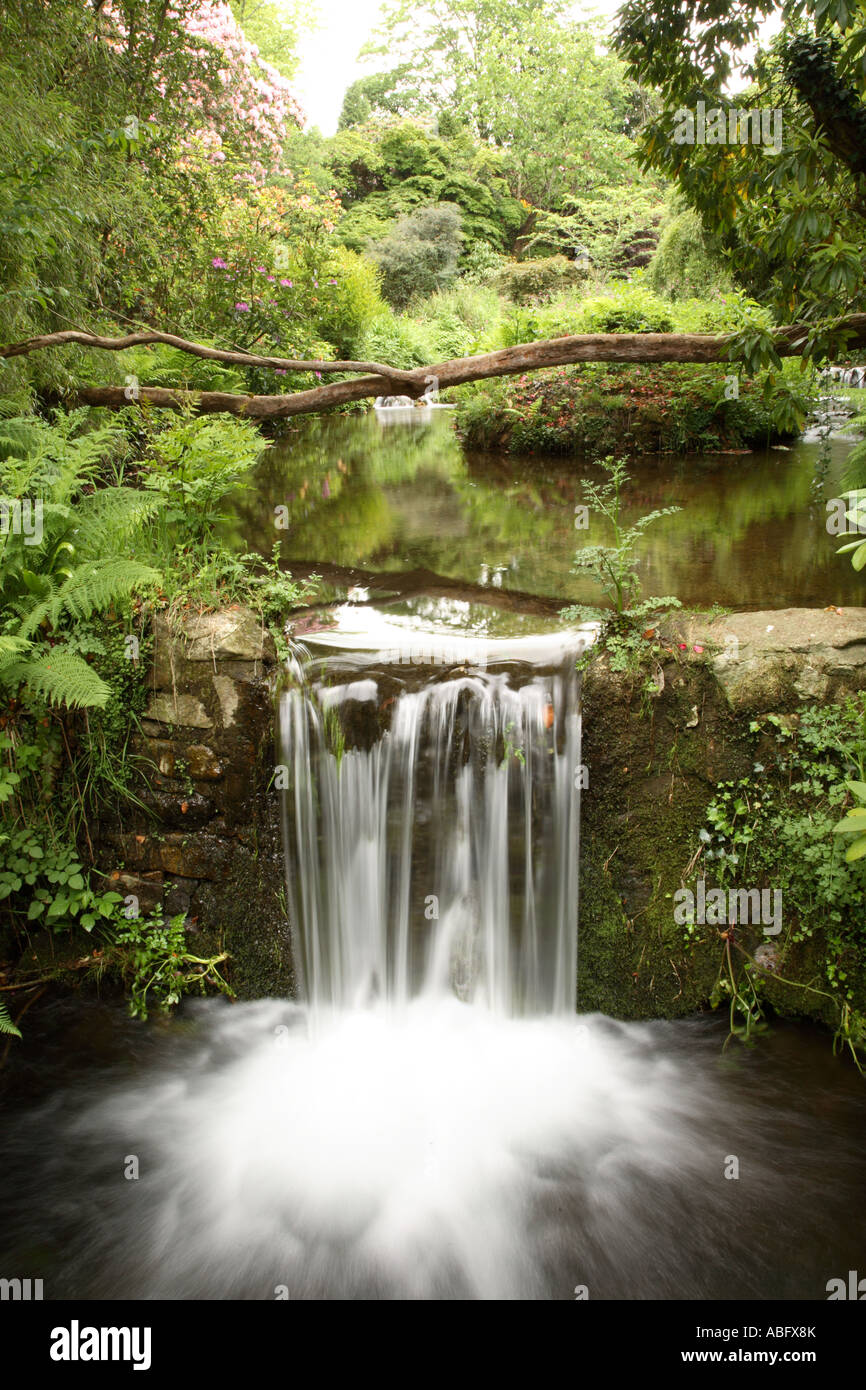 Ivybridge devon hi-res stock photography and images - Alamy