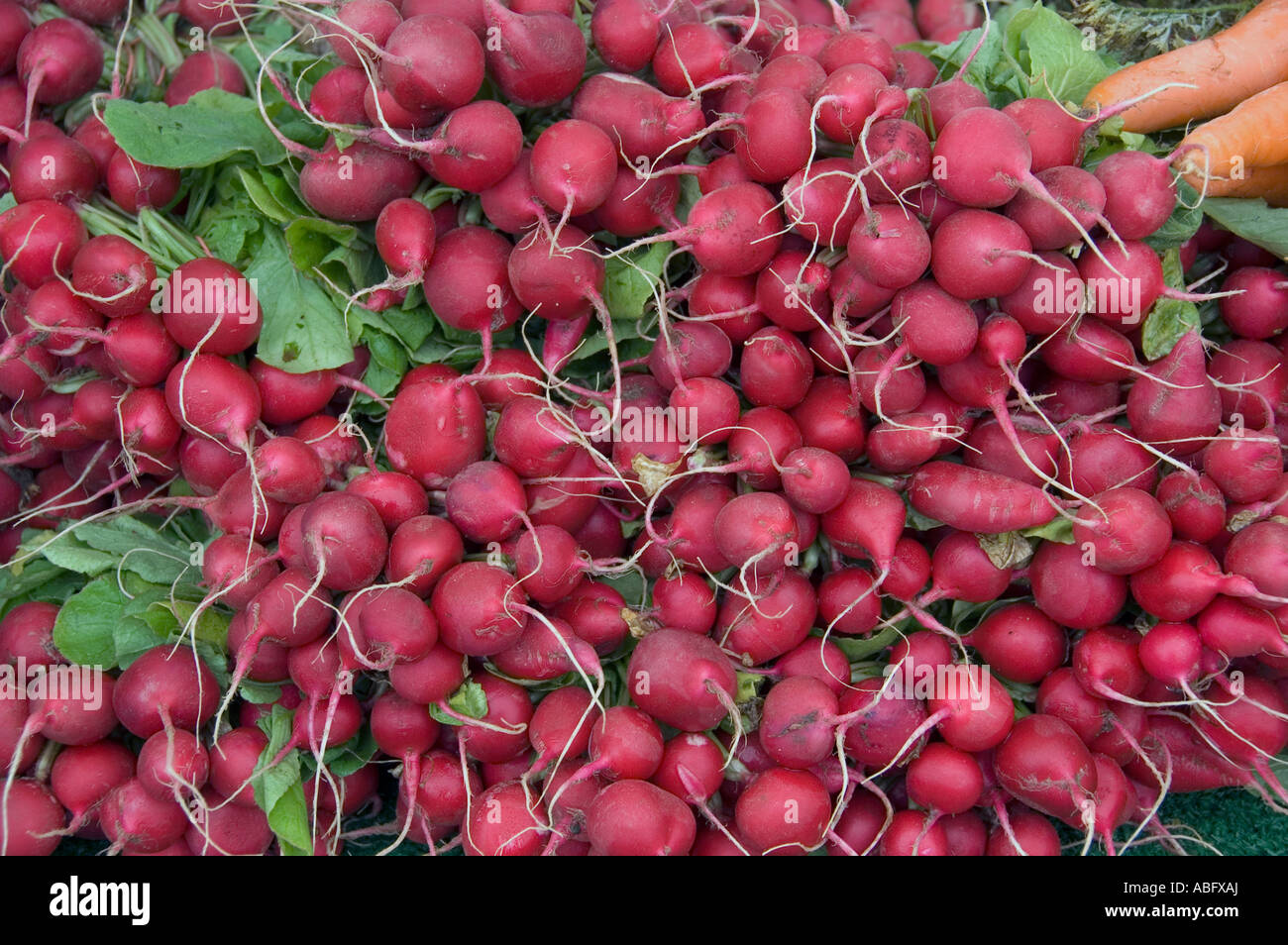 Root crop hi-res stock photography and images - Alamy