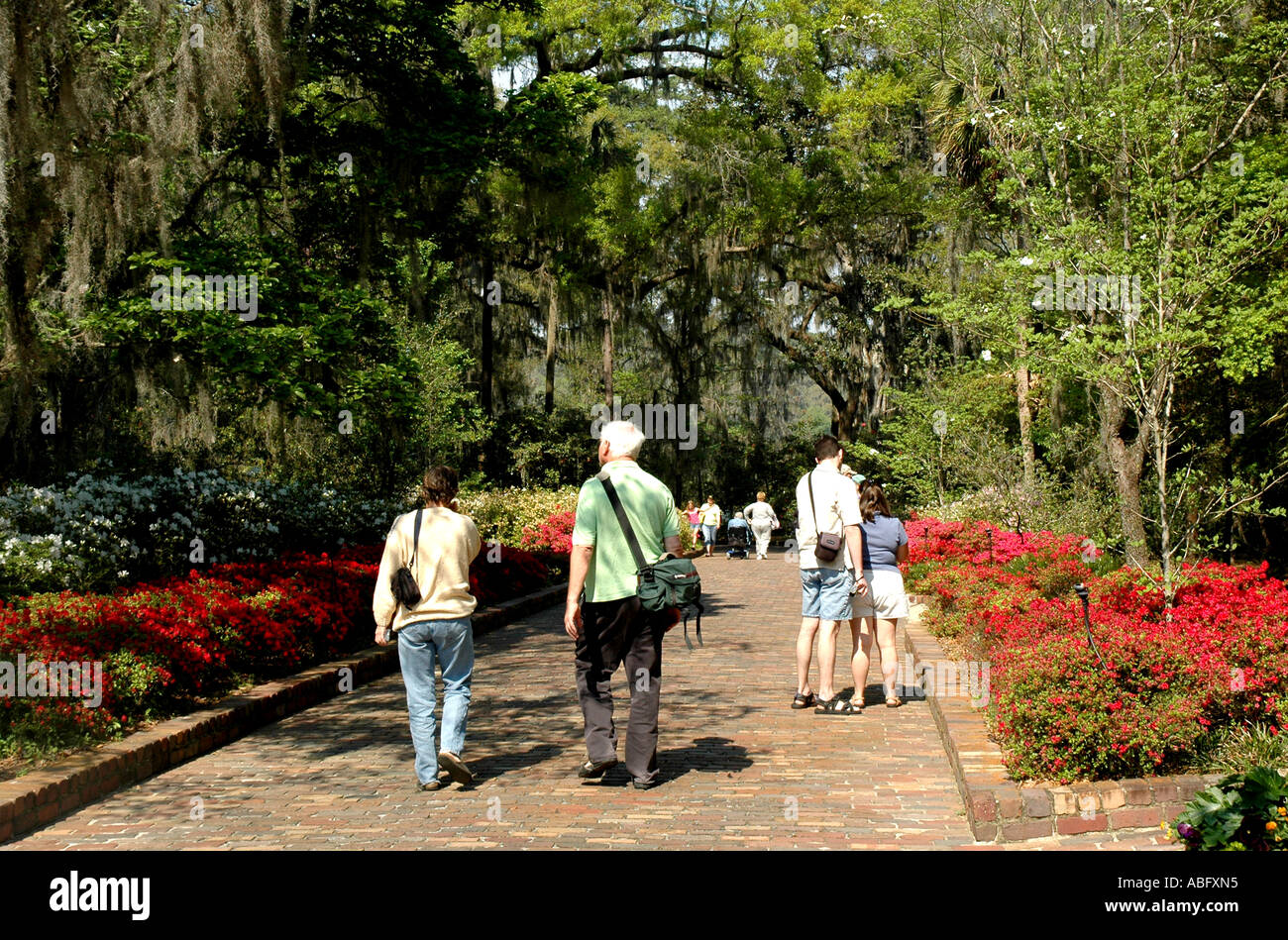 Florida Maclay Gardens in spring Stock Photo - Alamy