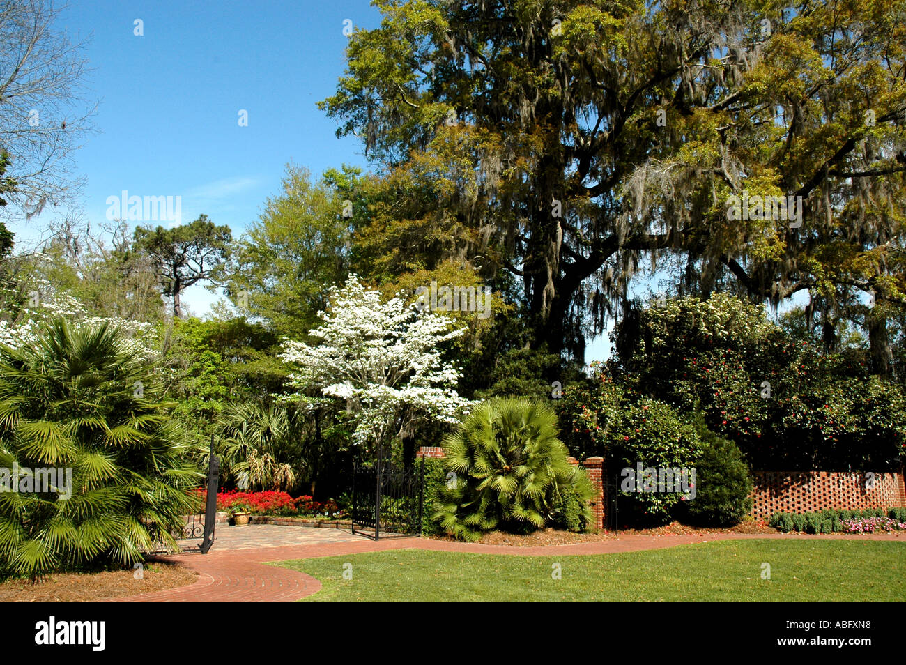 Florida Maclay Gardens in spring Stock Photo - Alamy
