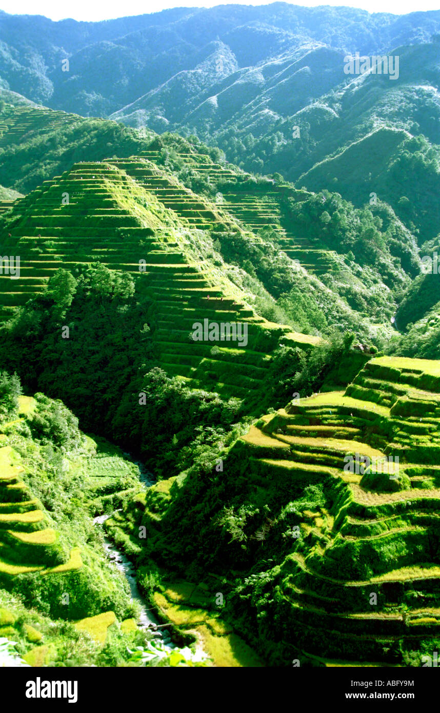 Banaue rice terraces in the Philippines Stock Photo - Alamy