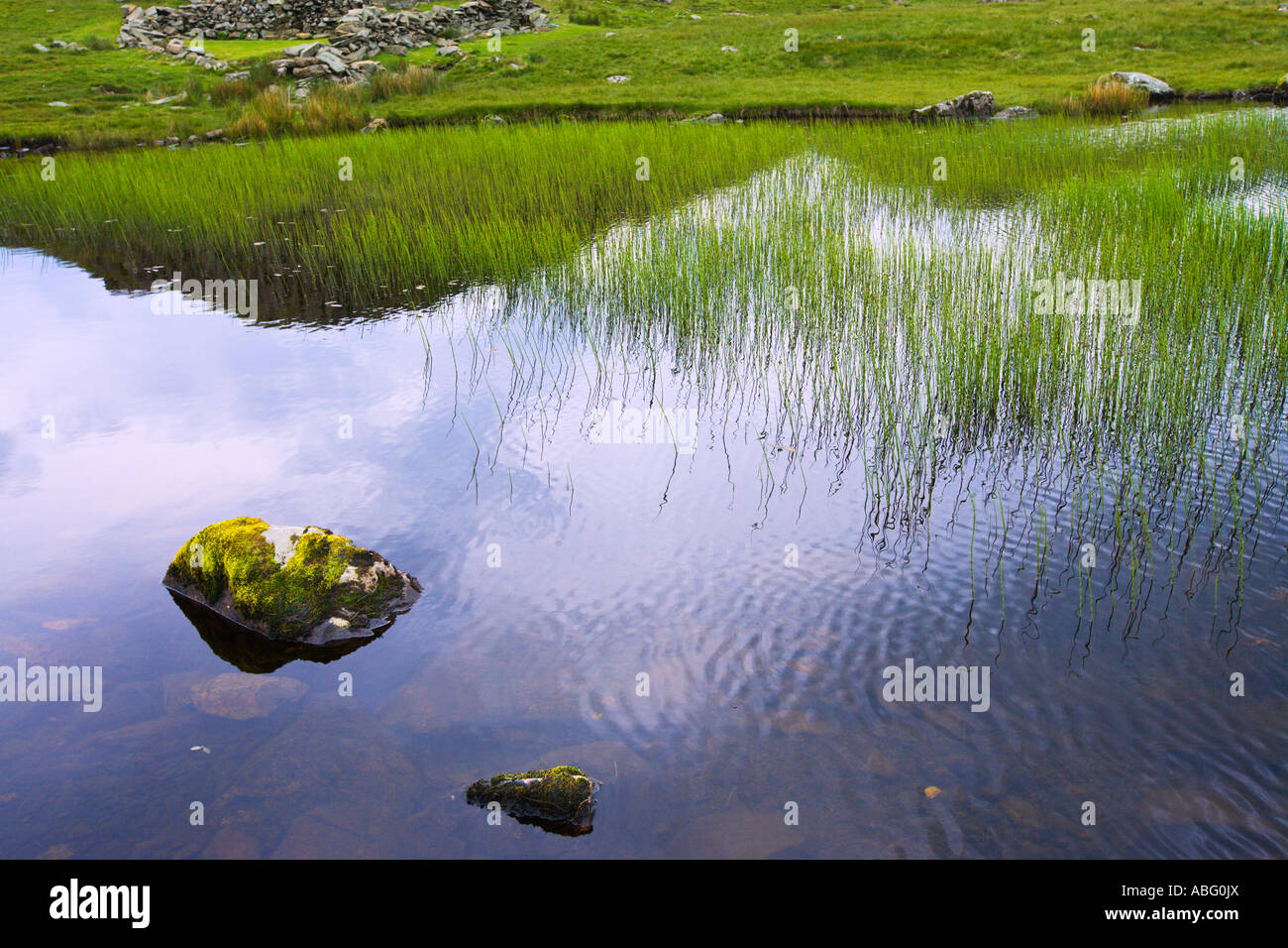 Dale head tarn hi-res stock photography and images - Alamy