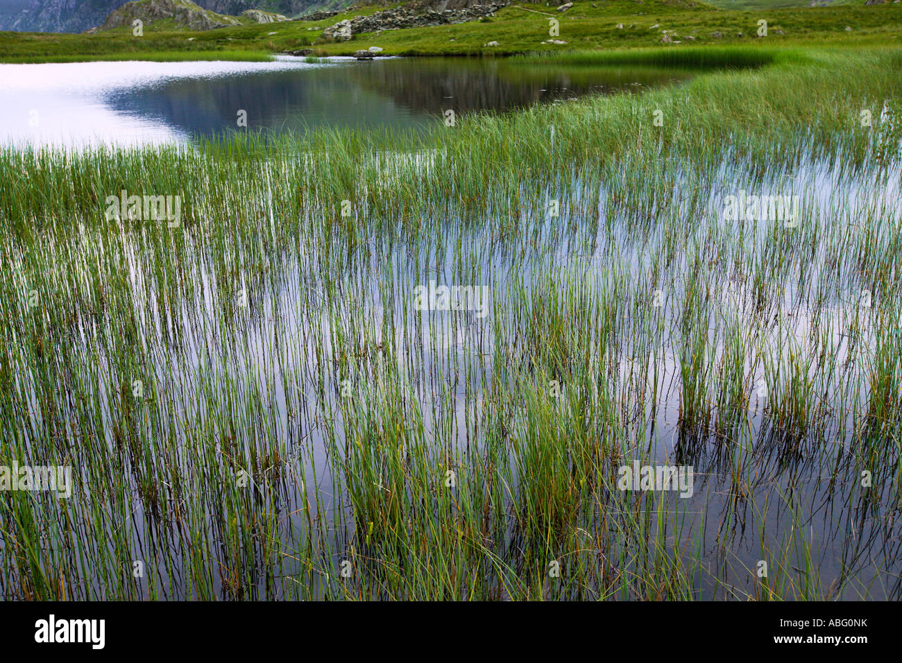 Dale Head Tarn, Dale Head Mountain The Derwent Fells, Keswick Cumbria ...