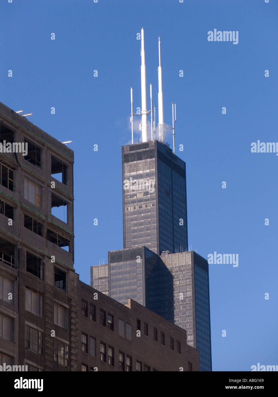 The Sears Tower Chicago Illinois USA Stock Photo - Alamy