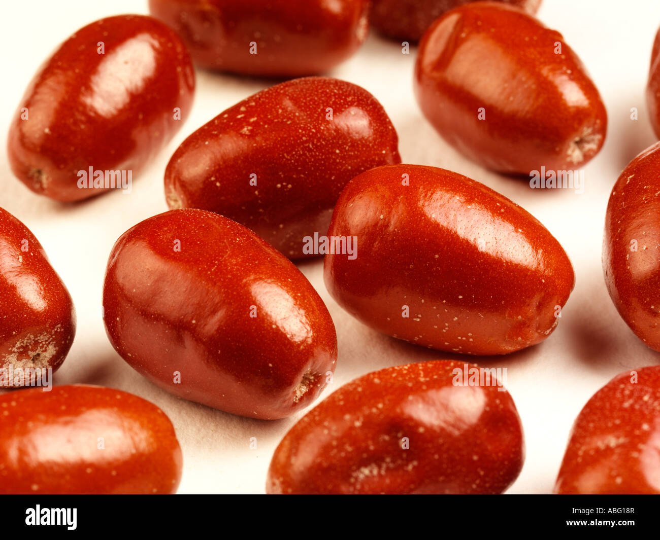 Senjed hi-res stock photography and images - Alamy