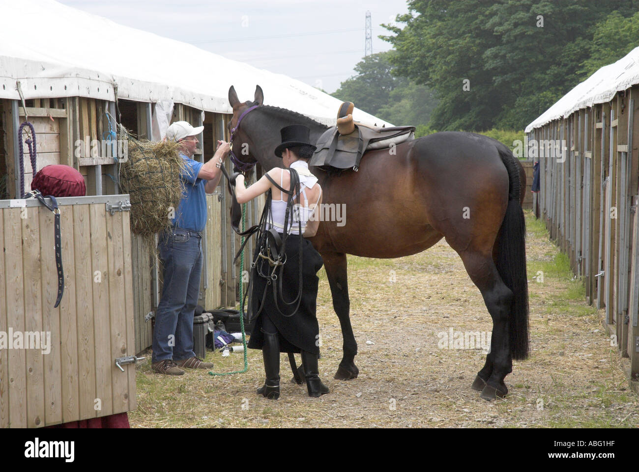 Side saddle rider hi-res stock photography and images - Alamy