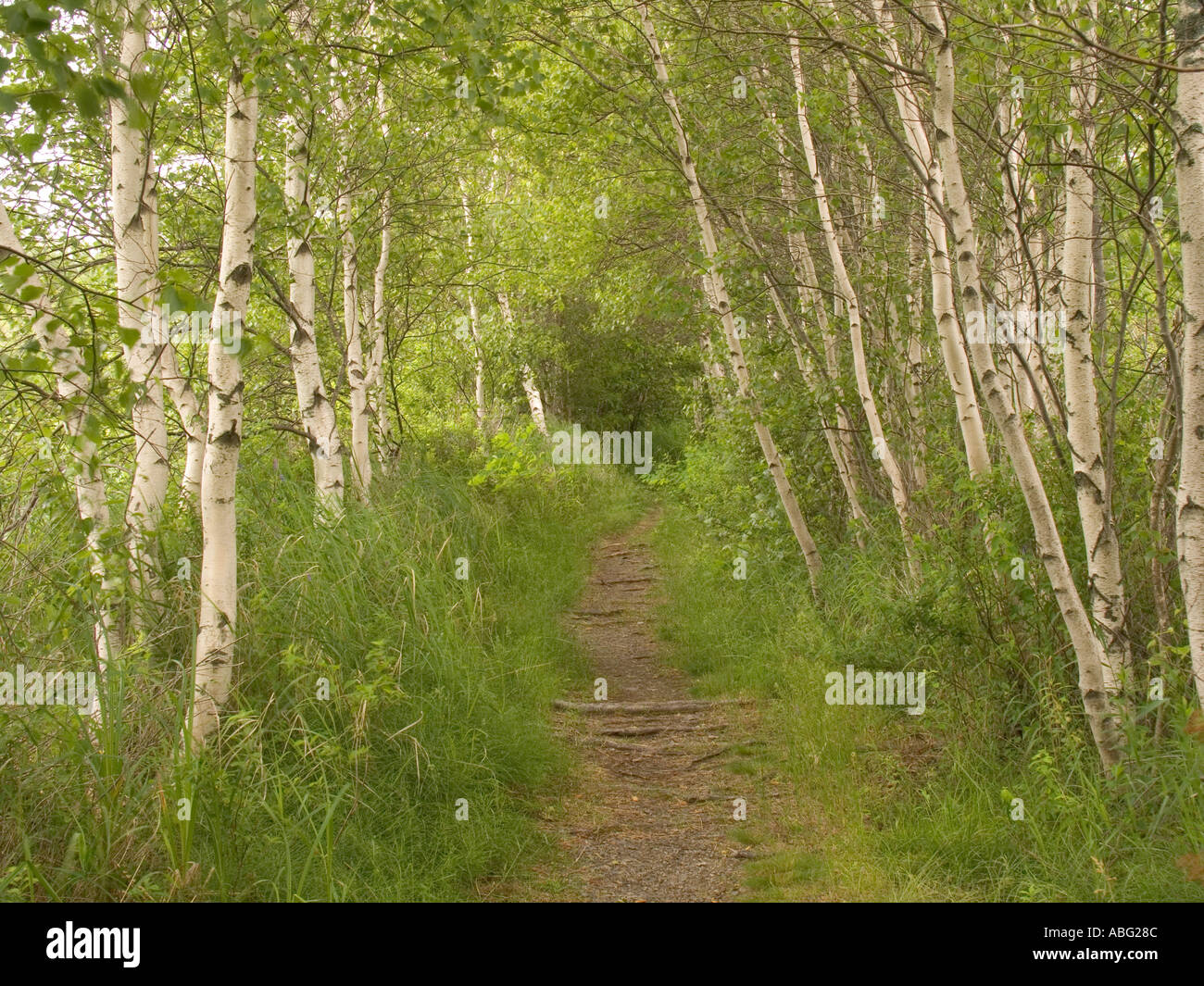 Explore acadia national park hi-res stock photography and images - Alamy