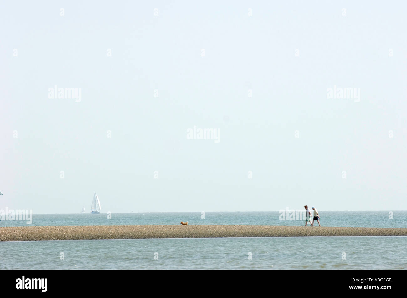 People walking along sand bar on Mersea island Essex UK Stock Photo - Alamy
