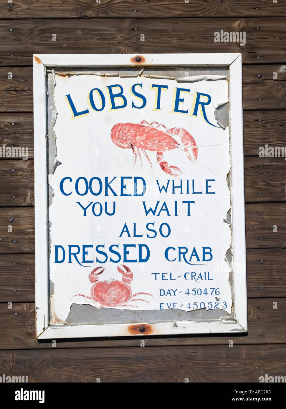 Sign advertising fresh cooked lobsters in Crail fishing village in east ...
