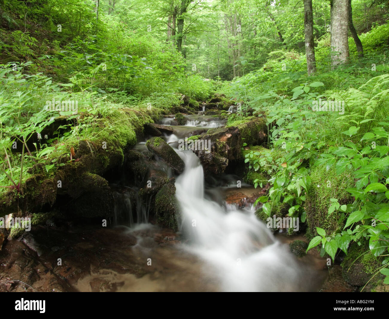 Maggie valley hi-res stock photography and images - Alamy