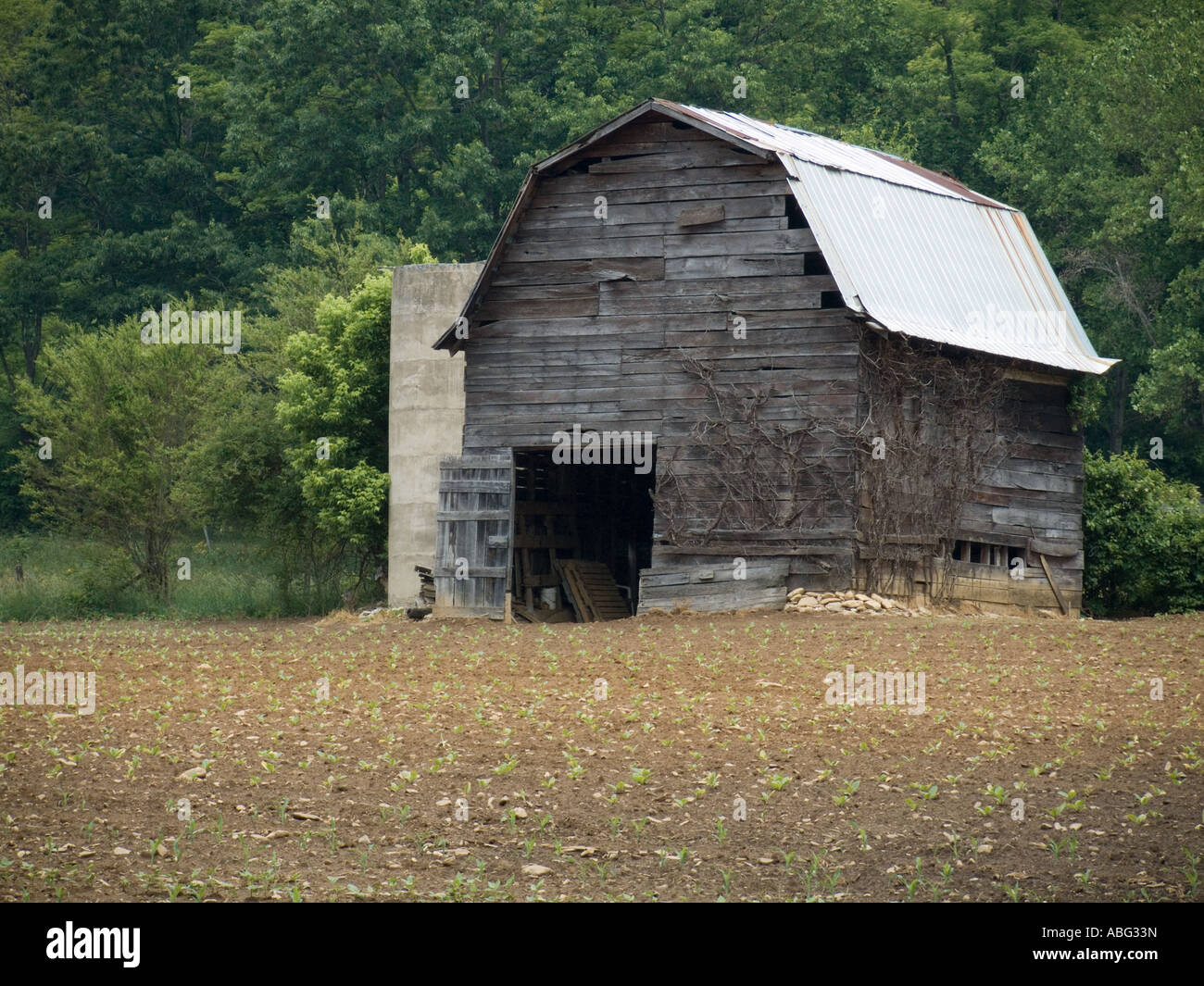 old barn farming North Carolina NC Stock Photo - Alamy