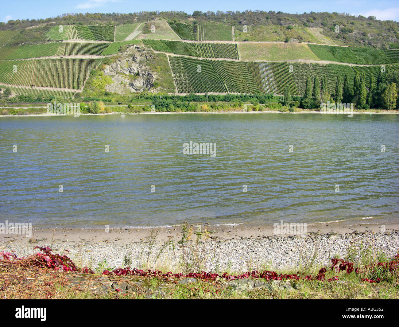 German wine romance hi-res stock photography and images - Alamy