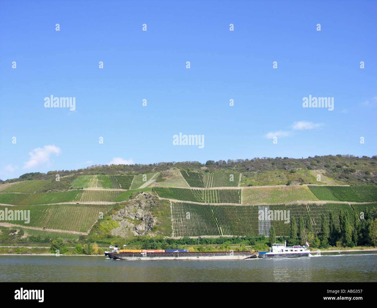 wine-growing region on the Rhine, Germany Stock Photo - Alamy