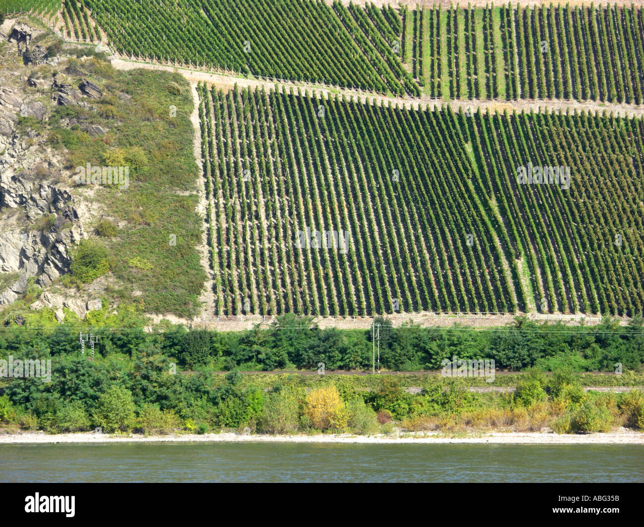 wine-growing region on the Rhine, Germany Stock Photo - Alamy