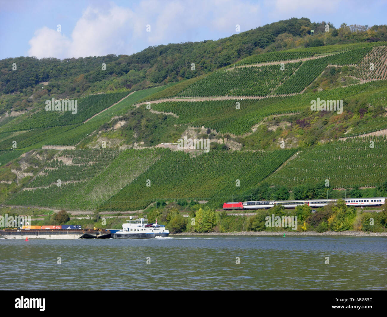 wine-growing region on the Rhine, Germany Stock Photo - Alamy