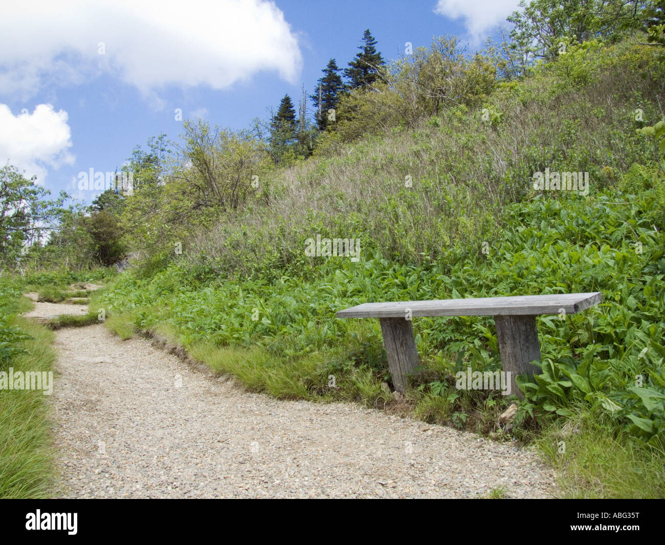 Waterrock Knob Trail off Blue Ridge Parkway NC North Carolina Smokey ...