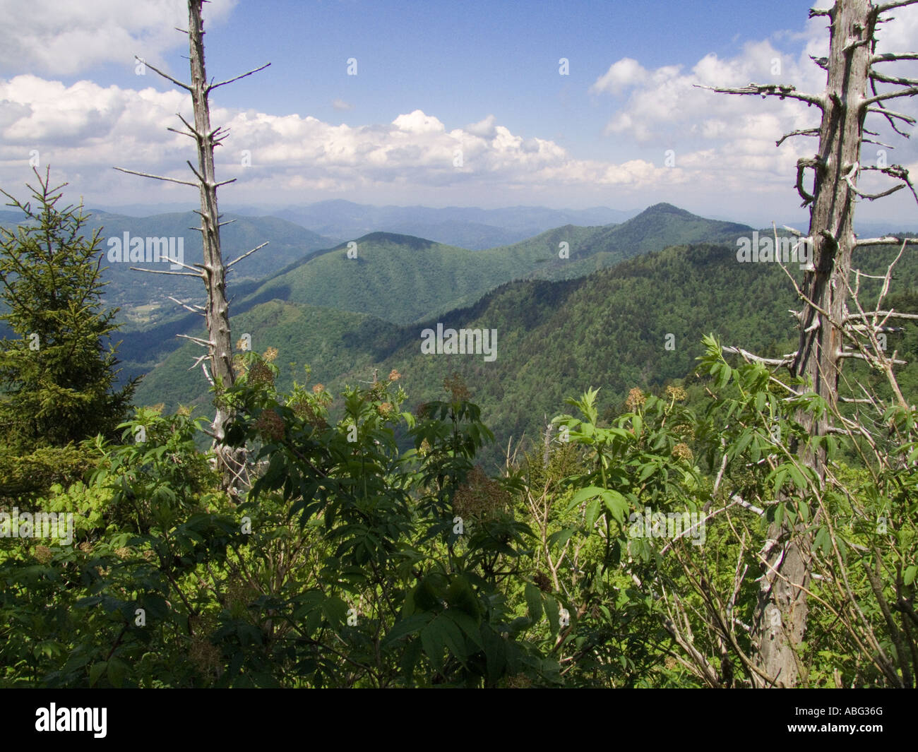 Waterrock Knob Trail off Blue Ridge Parkway NC North Carolina Smokey ...
