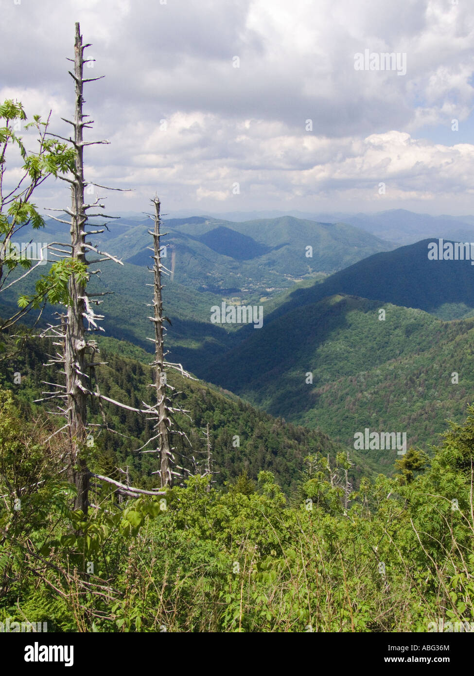Waterrock knob trail hi-res stock photography and images - Alamy