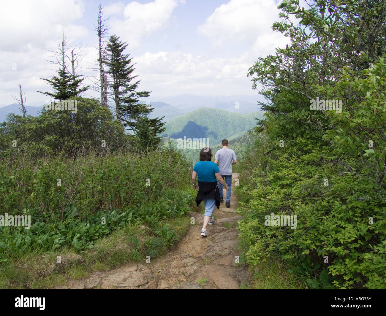 Waterrock knob trail hi-res stock photography and images - Alamy