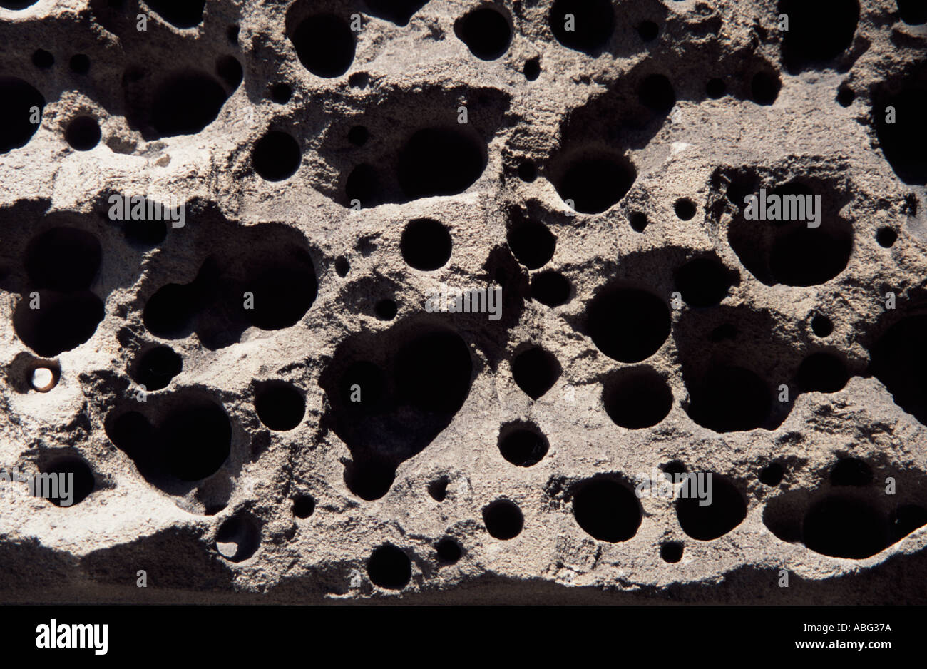 Pockmarked stone hi-res stock photography and images - Alamy