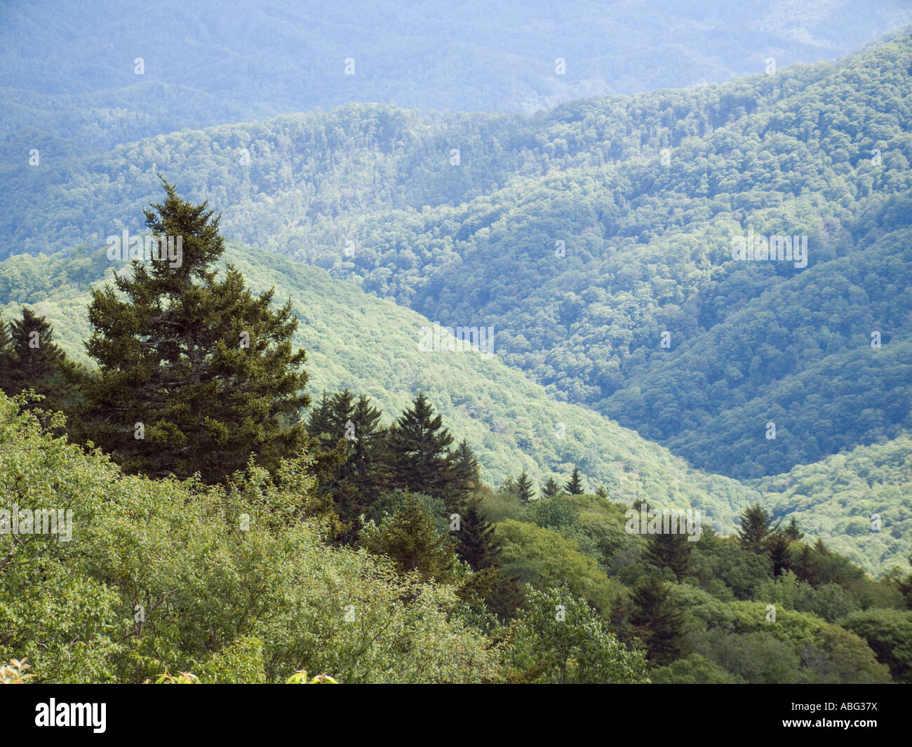 mountain view from Yellow Face stop on Blue Ridge Parkway North ...