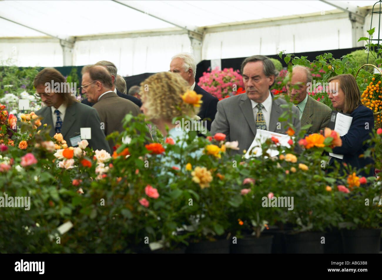Show garden judges hi-res stock photography and images - Alamy
