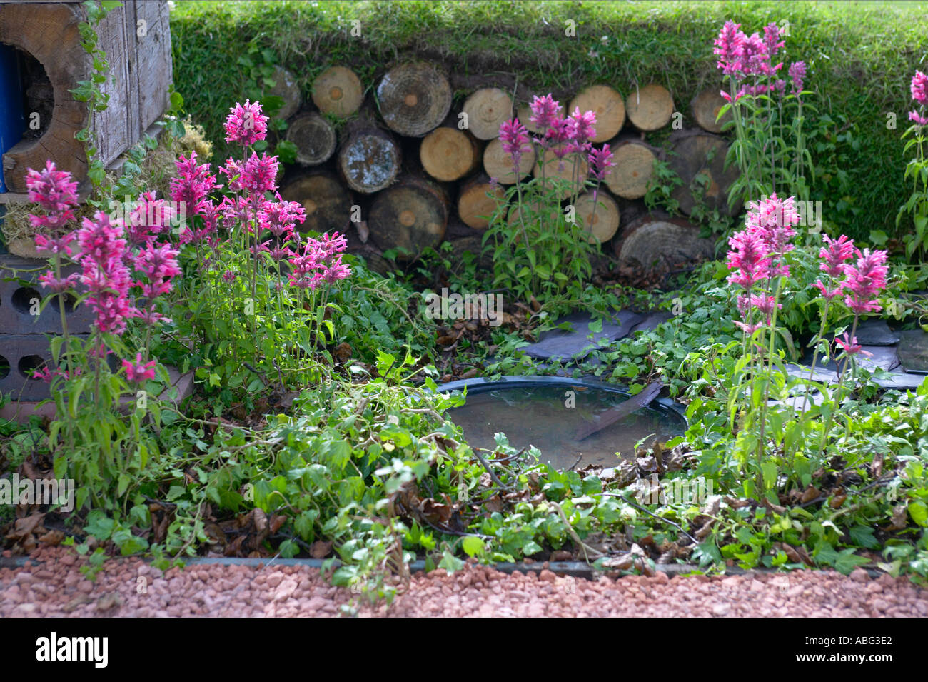 log pile built into garden as a home for insects Stock Photo - Alamy