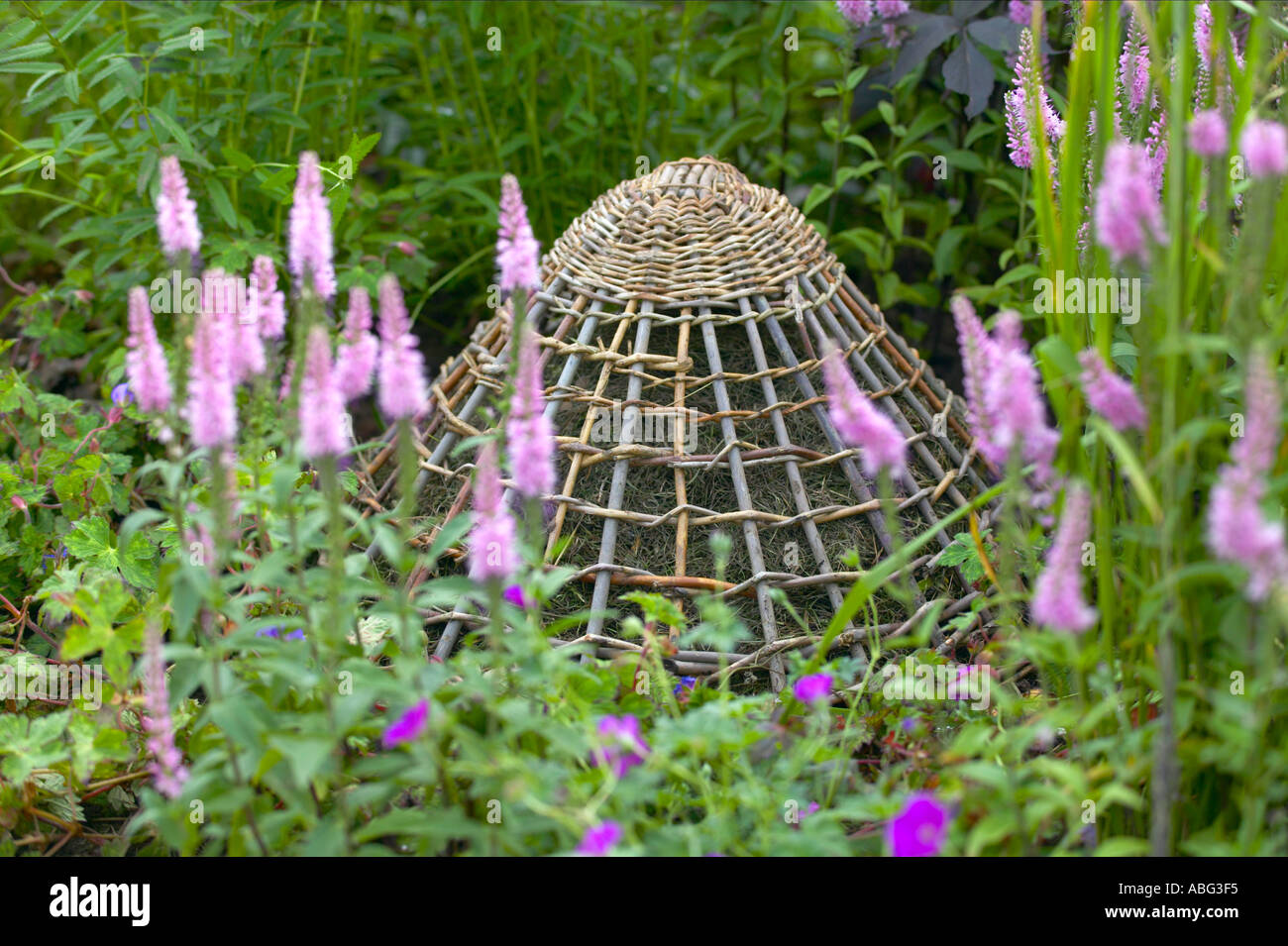 basket covering compost to encourage invertebrates into wildlife garden ...