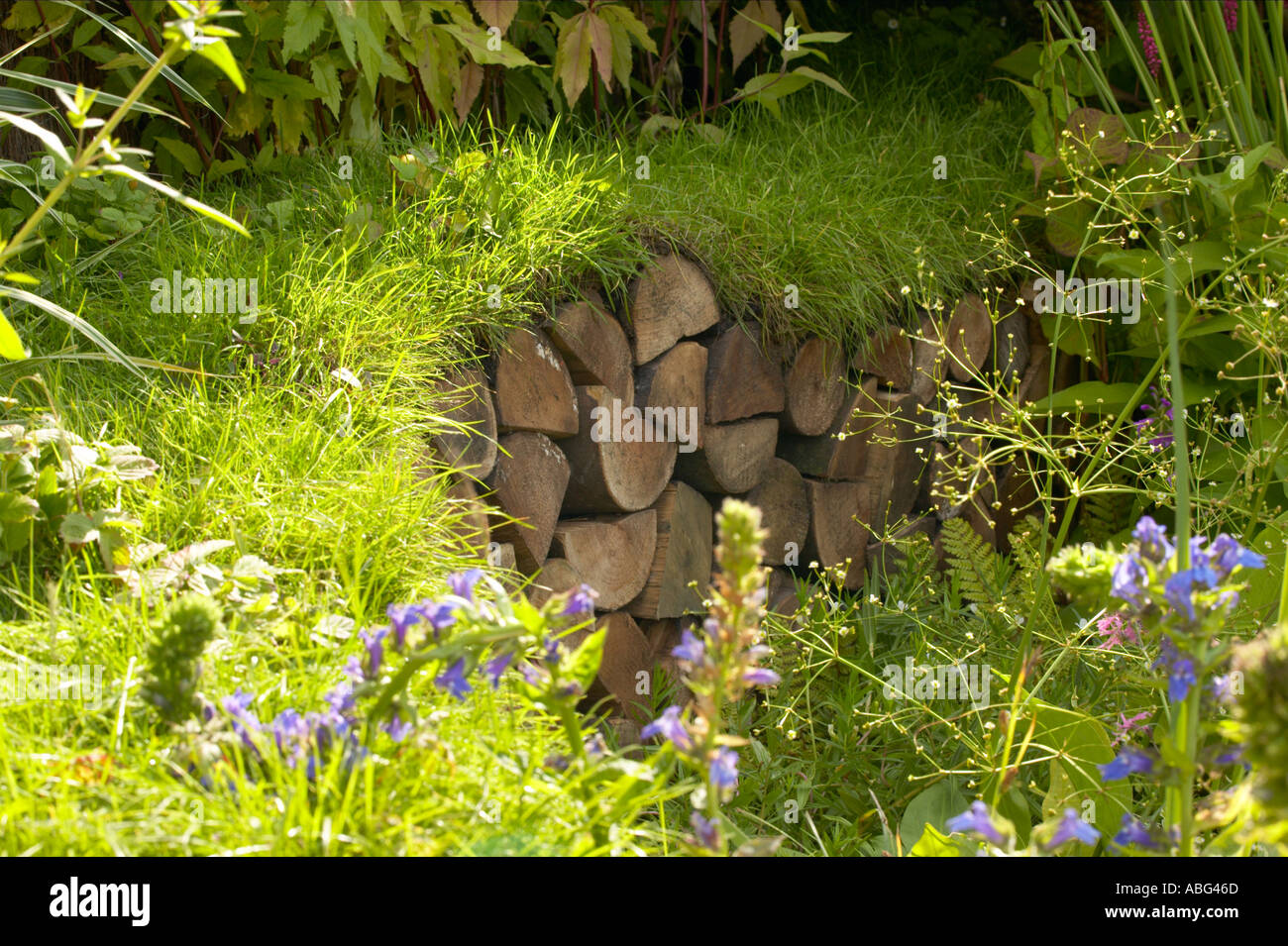 Nature s Way water marginal plants including mini water lilies logs ...